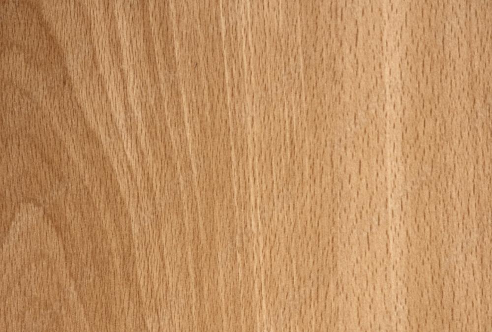 Aserradero El Puntal